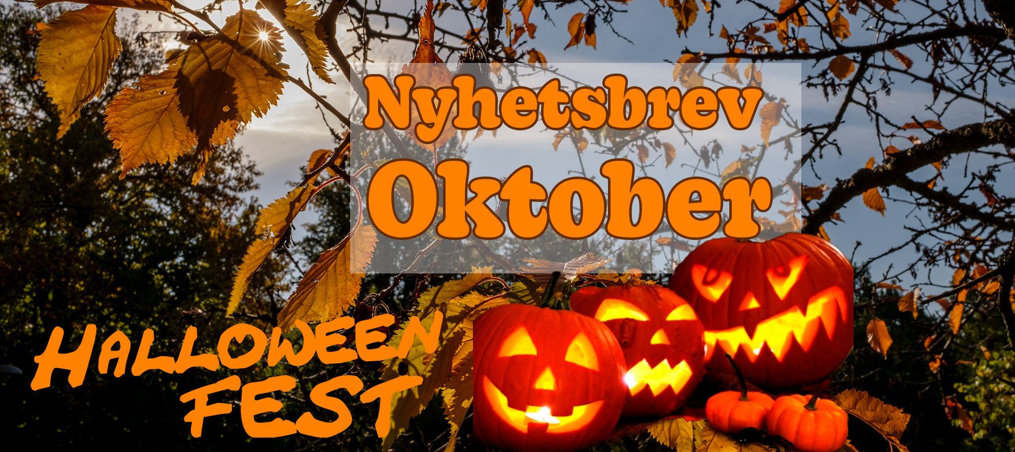 Nyhetsbrev Oktober